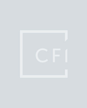 CFI Partners :: The Team